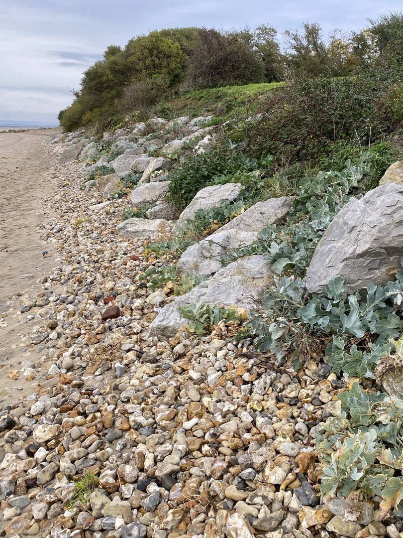 Agenda - Maison de l'Estuaire