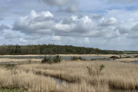 Les sentiers - Maison de l'Estuaire