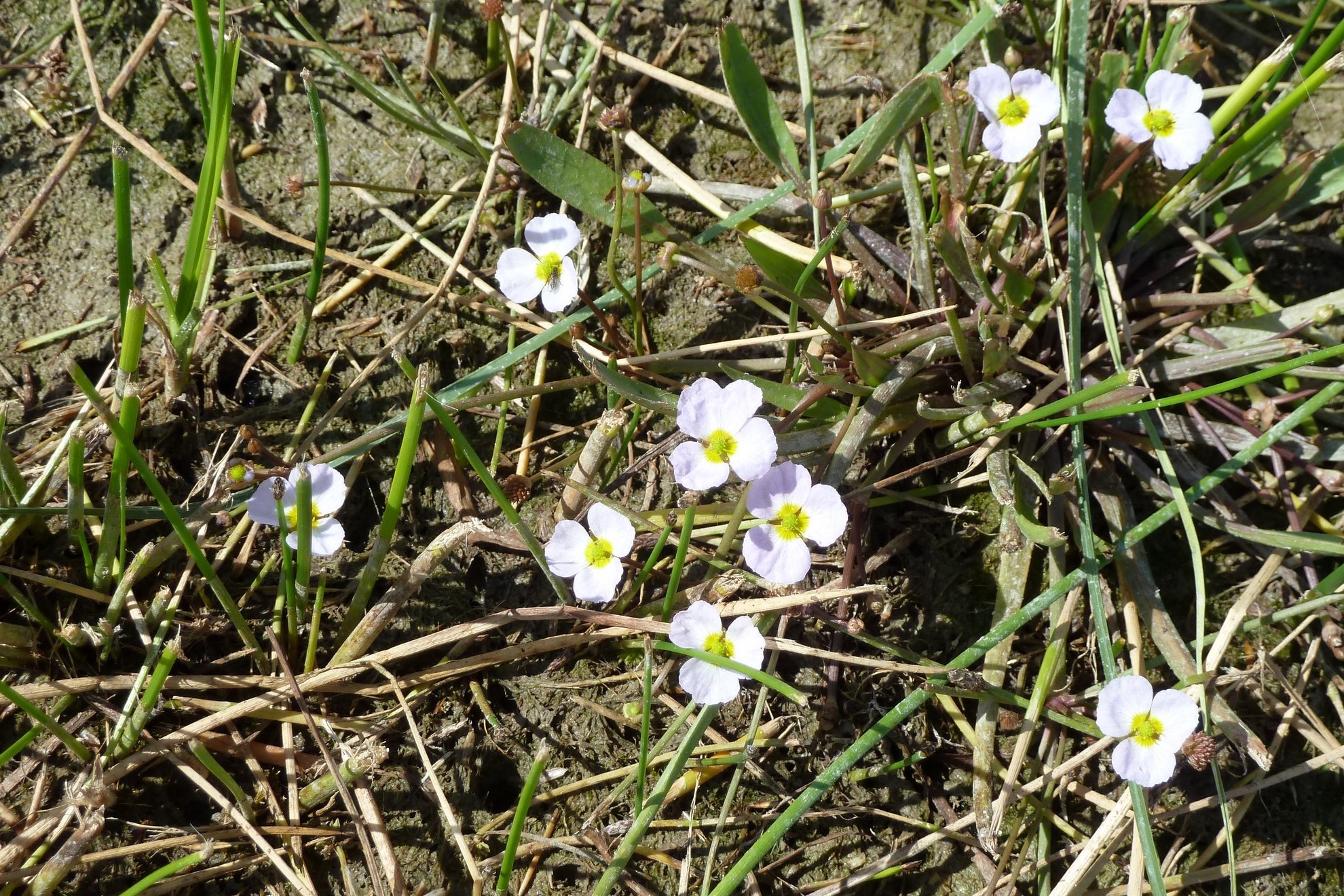 Accueil - Maison de l'Estuaire