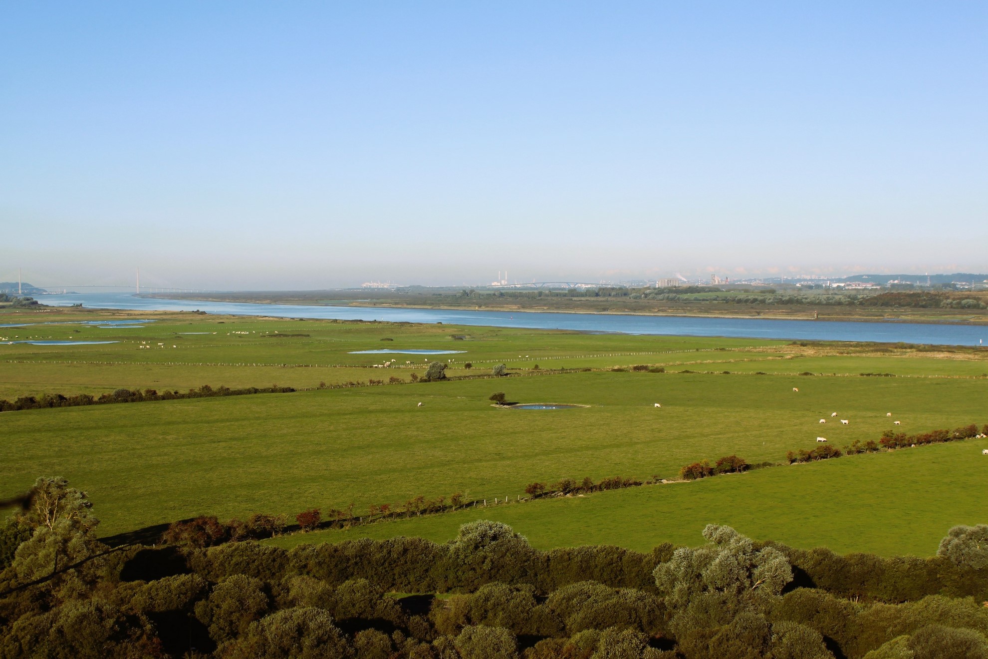Album photographique de la Réserve Naturelle de l'Estuaire de la Seine ...