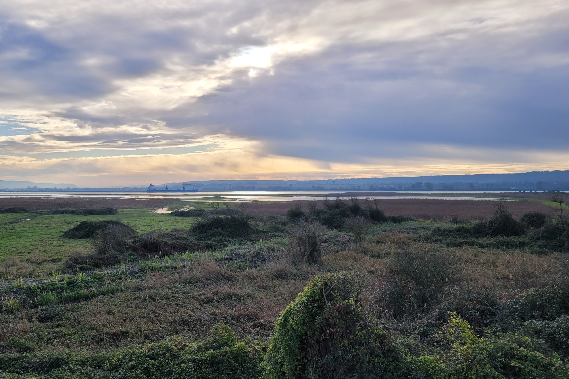 Album photographique de la Réserve Naturelle de l'Estuaire de la Seine ...