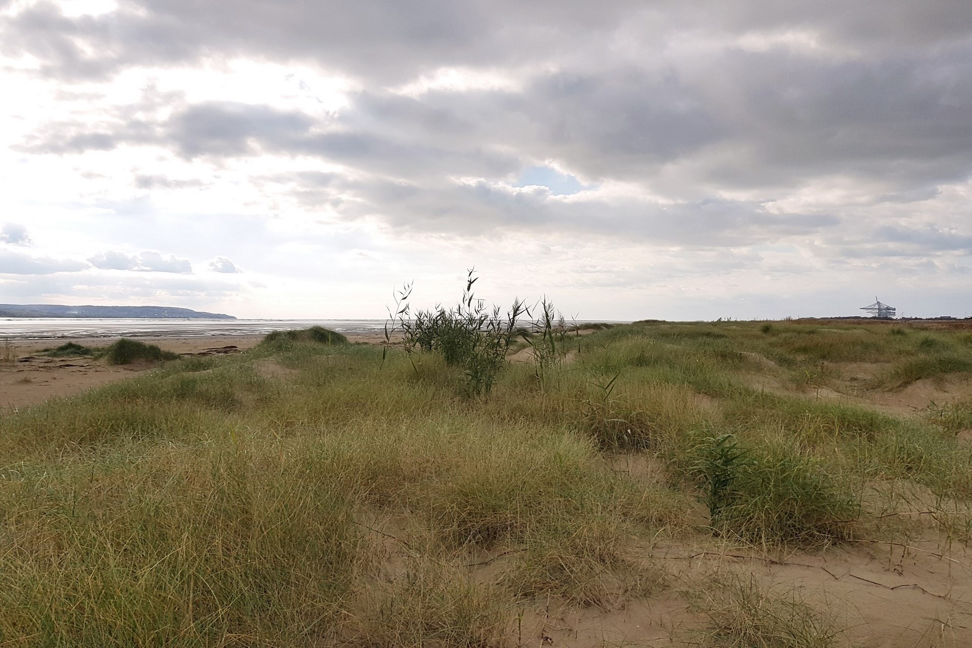 Le milieu marin - Maison de l'Estuaire