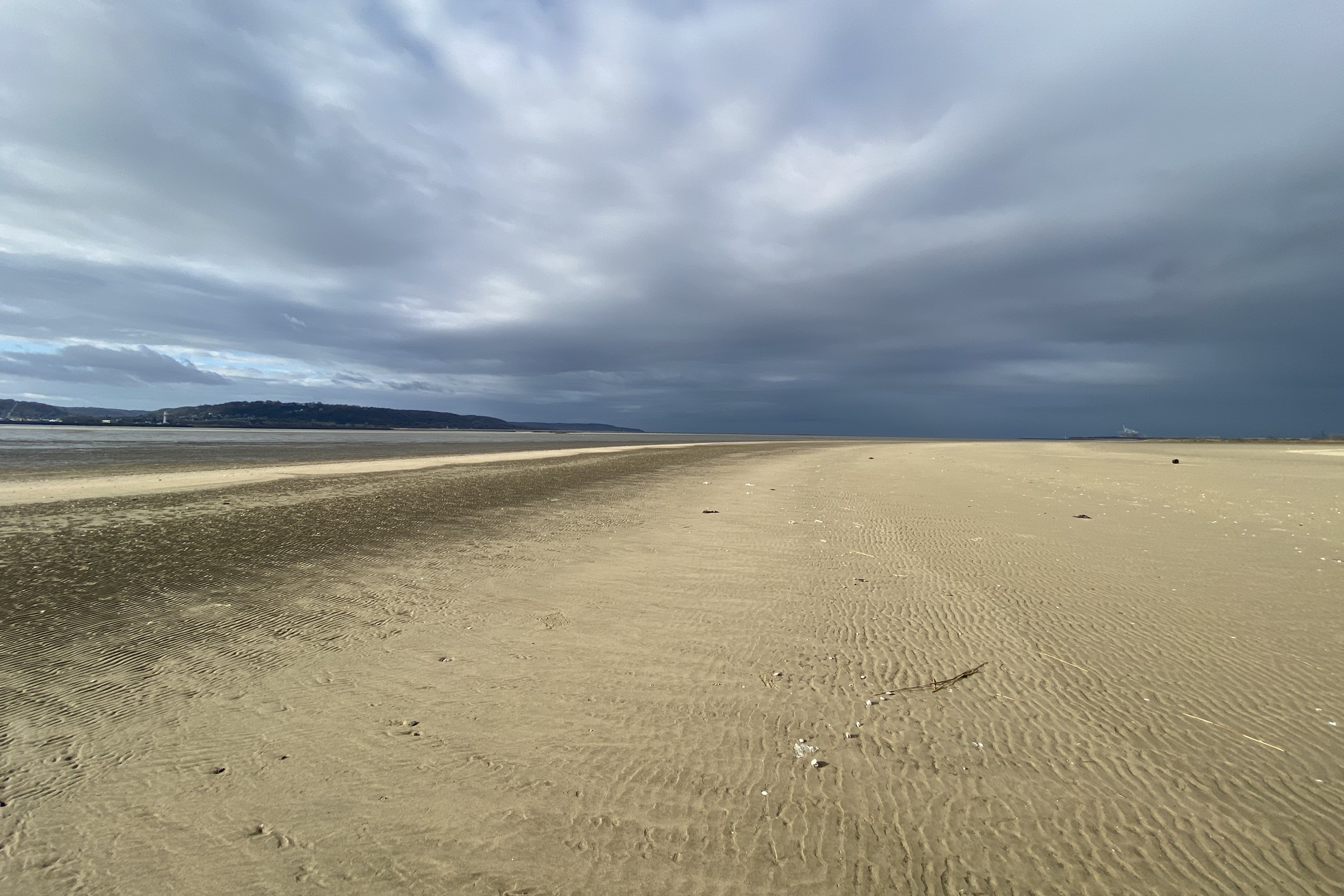 Le milieu marin - Maison de l'Estuaire