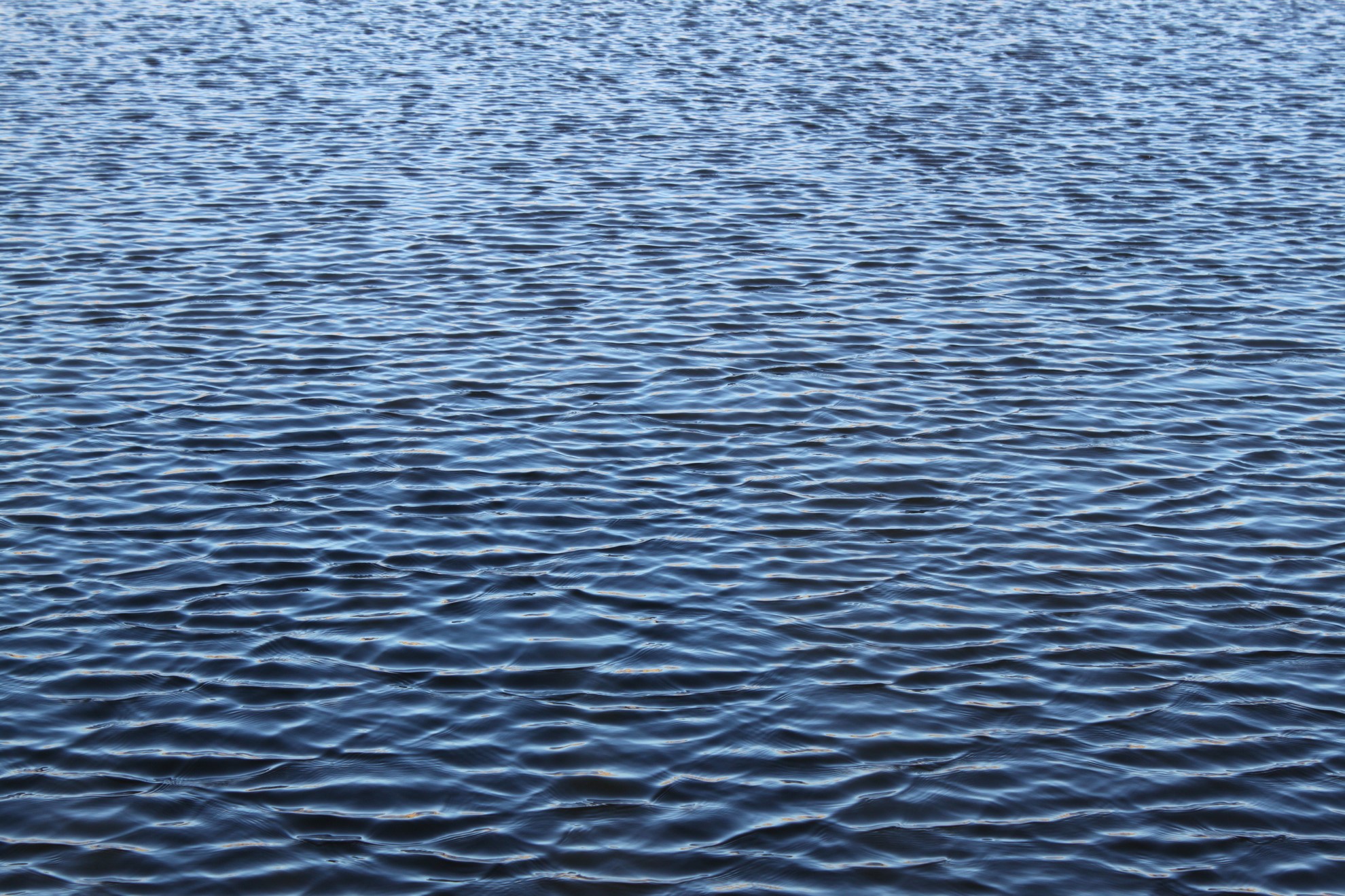 Le milieu marin - Maison de l'Estuaire