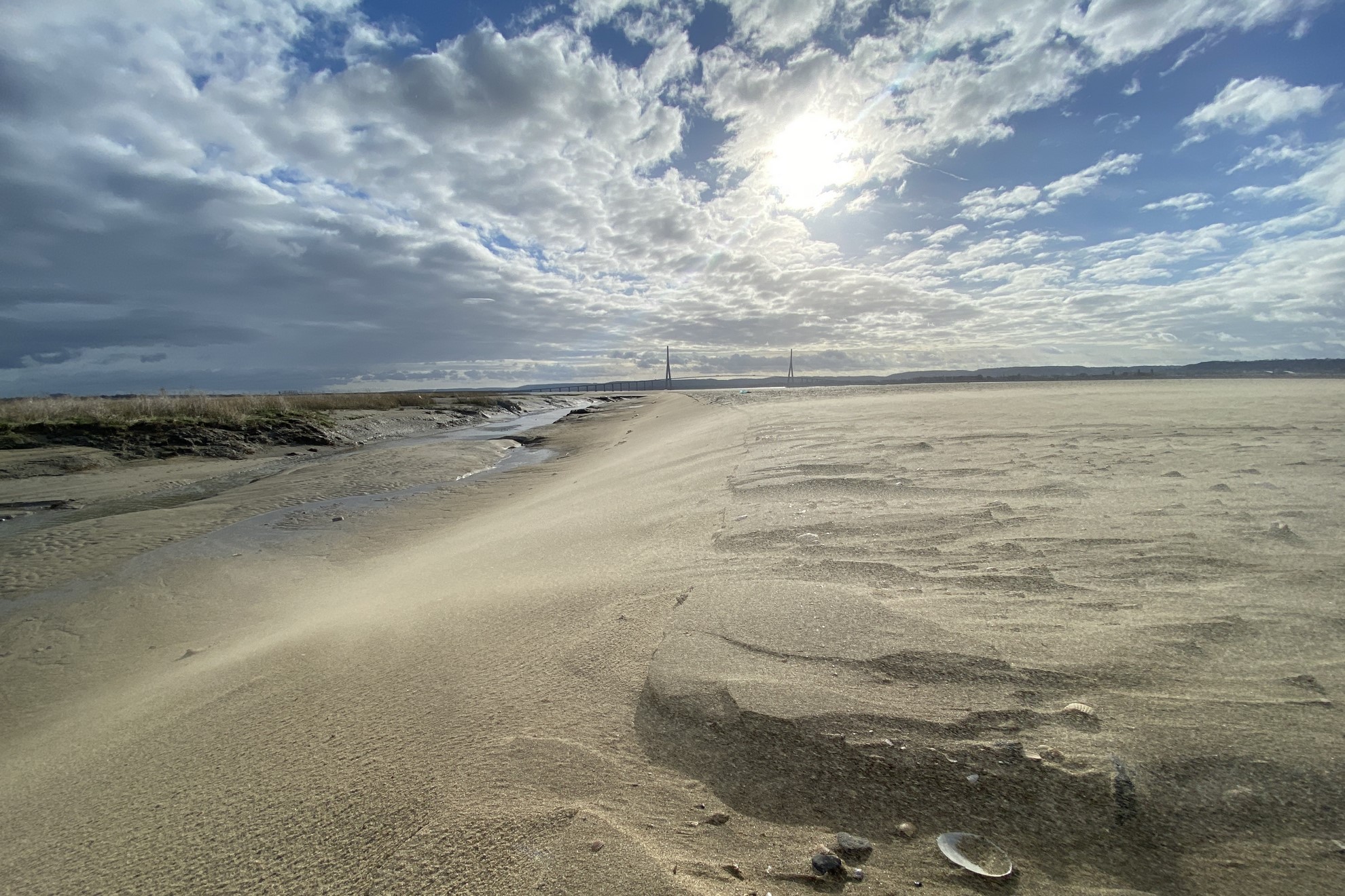 Le milieu marin - Maison de l'Estuaire
