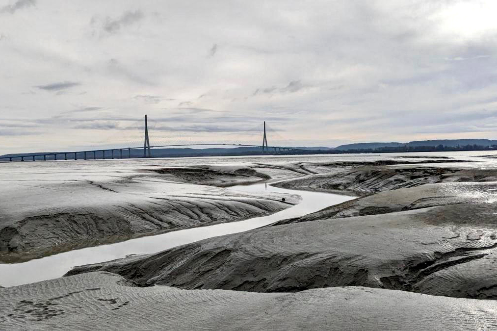 Le milieu marin - Maison de l'Estuaire